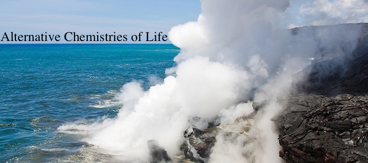 Alternative Chemistries of Life – The Lynn Lab