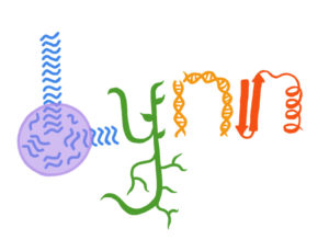 The Lynn Lab – Emory University